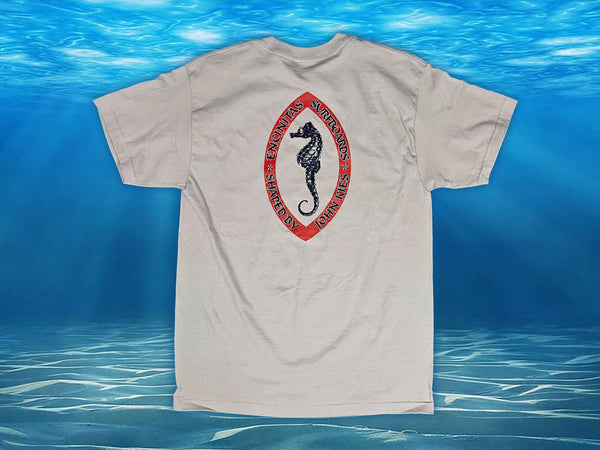 Football Logo - Encinitas Surfboards